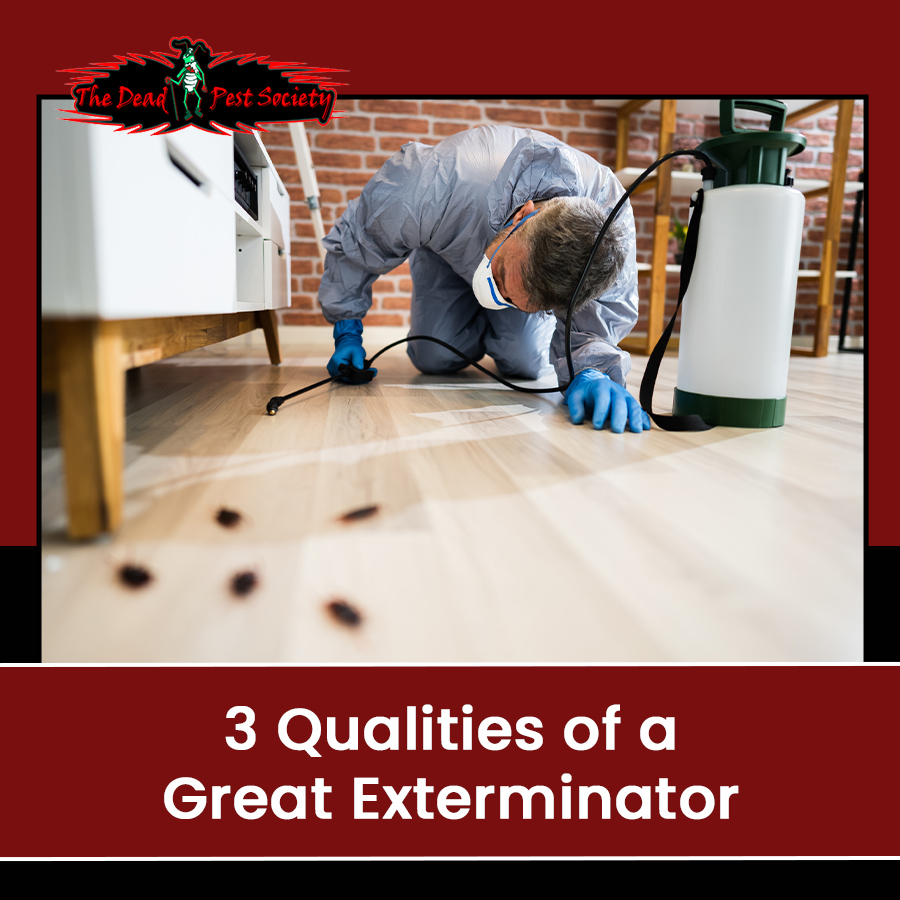 3 Qualities of a Great Exterminator | The Dead Pest Society